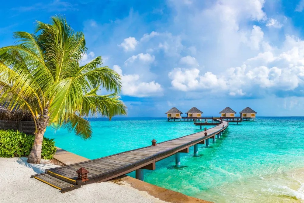 Fototapeta Tropické Prázdninové Domy Na Maledivách Hladký vinyl 180x120