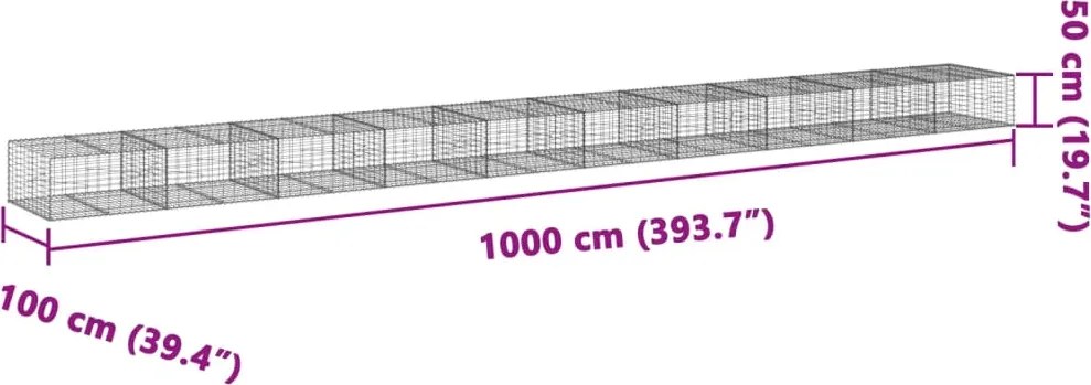 Gabionový koš s víkem 1 000 x 100 x 50 cm pozinkované železo 3295187