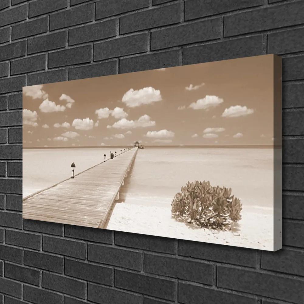 Obraz na plátně Moře Most Krajina 100x50 cm