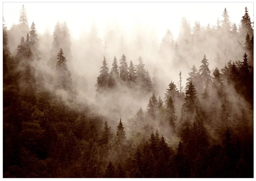 Fototapeta - Mountain Forest (Sepia)