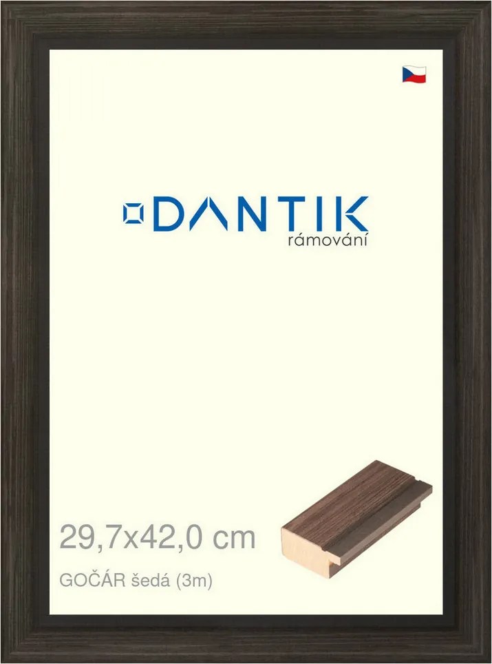 DANTIK rámeček 29,7x42 | Gočár šedá (Plexi Čiré)