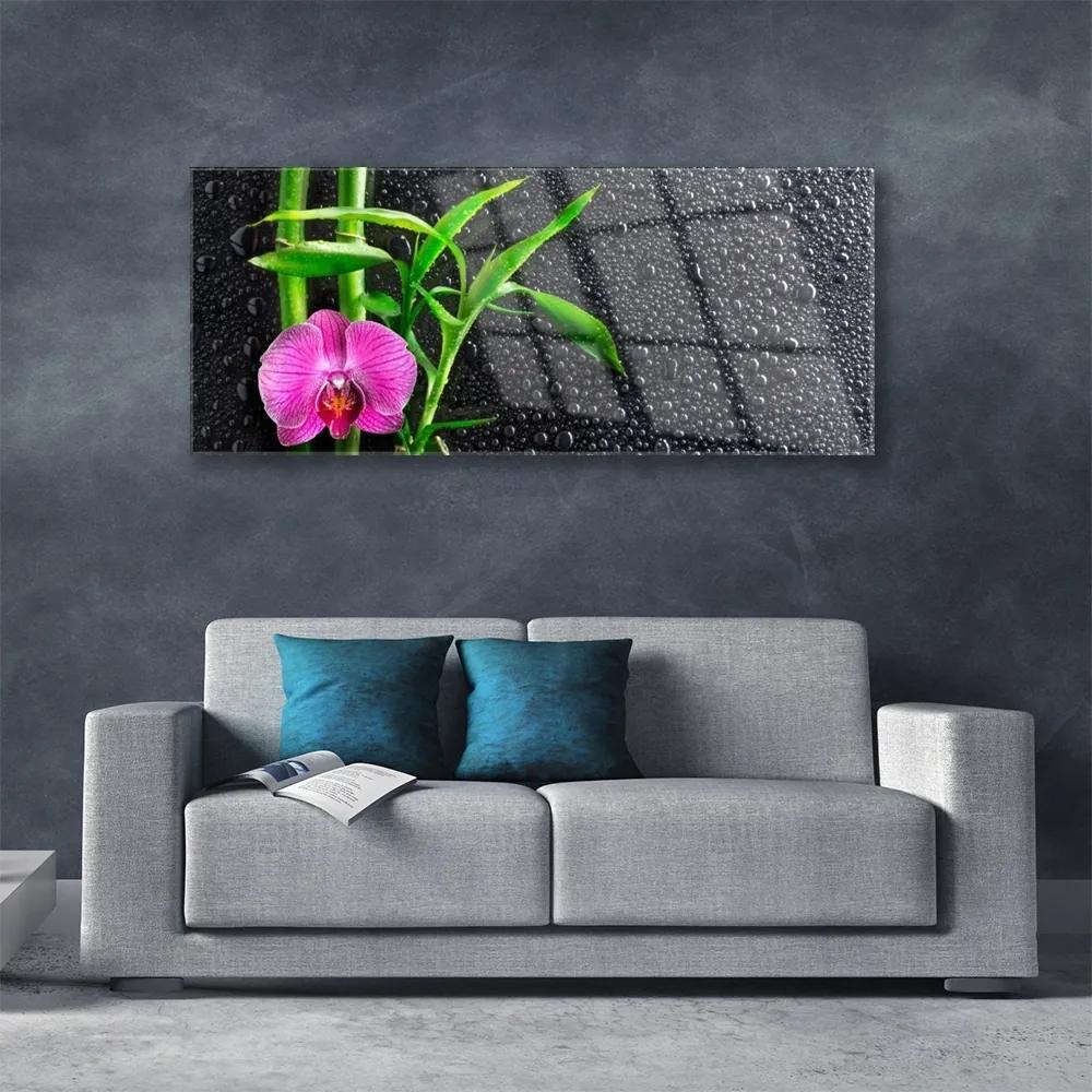 akrylový obraz Bambus Květ Kapky 125x50 cm