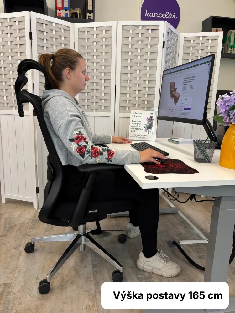 Kancelářská ergonomická židle BESSEL s podhlavníkem — síť, šedý plast, nosnost 120 kg, světle šedá MERCURY STAR