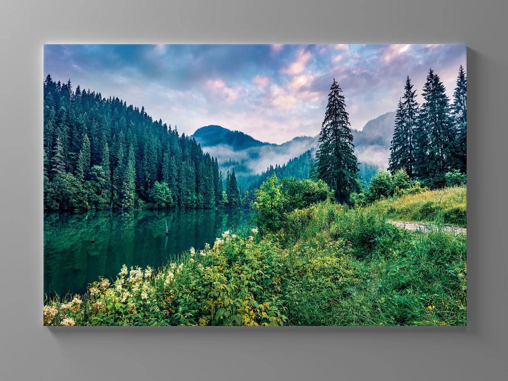 Liox Obraz zelená krajina Rozměr: 120 x 80 cm
