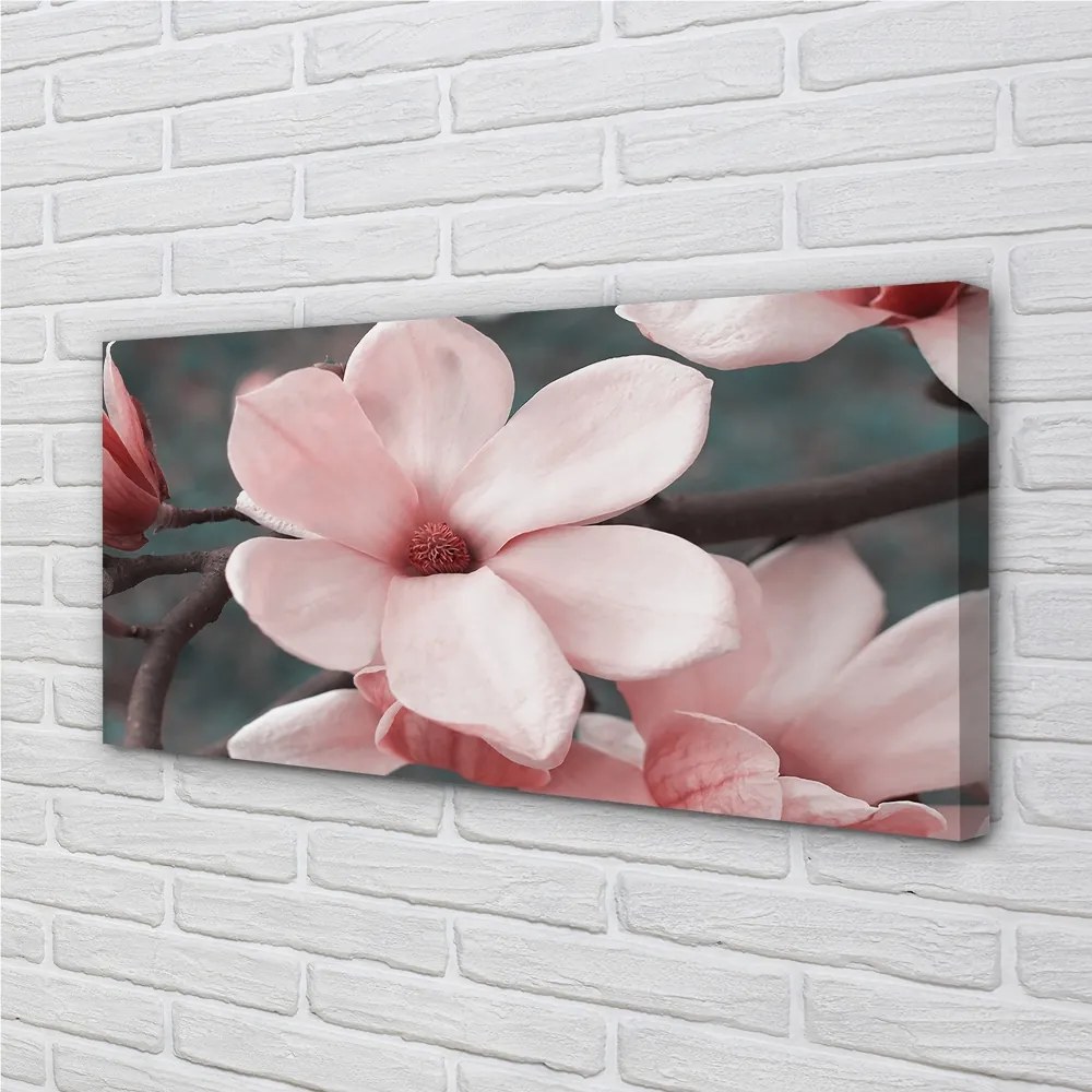 Obrazy na plátně růžové květy 140x70 cm