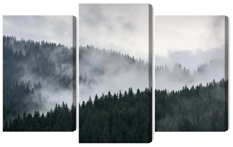 Vícedílný obraz Zamlžená 3D Lesní Krajina Nedostatek Nedostatek Plátno Canvas 120x80