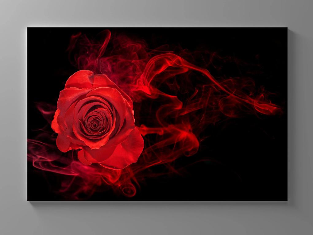 Liox Obraz růže v červeném dýmu Rozměr: 120 x 80 cm
