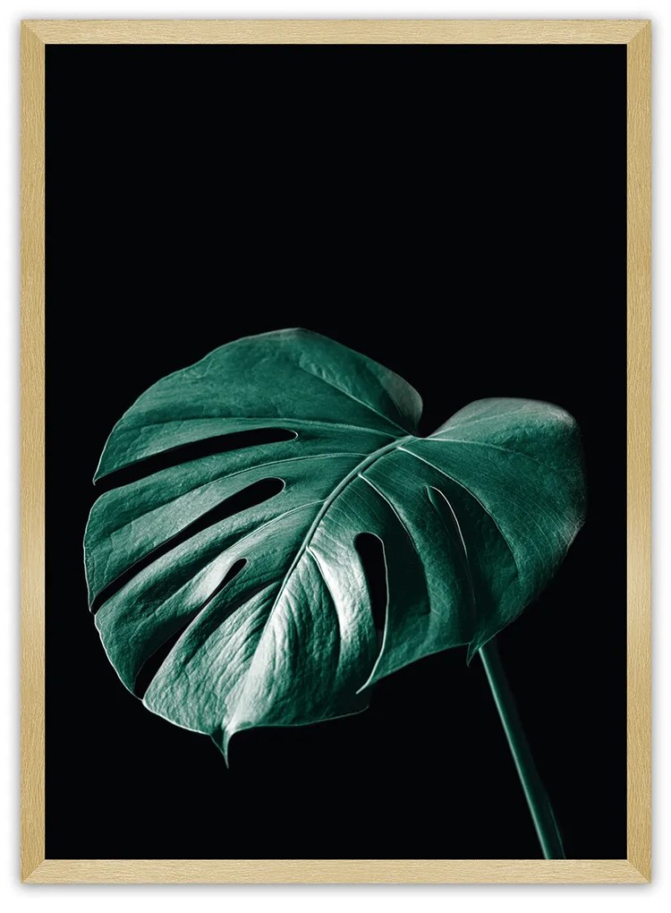 Plakát Dark Monstera