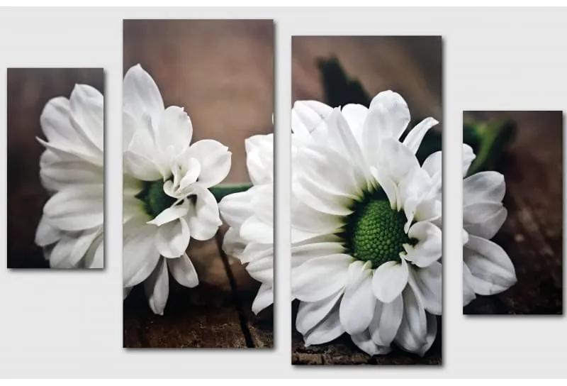 Čtyřdílný  obraz - Bílá květina- 4D_10070_00016
