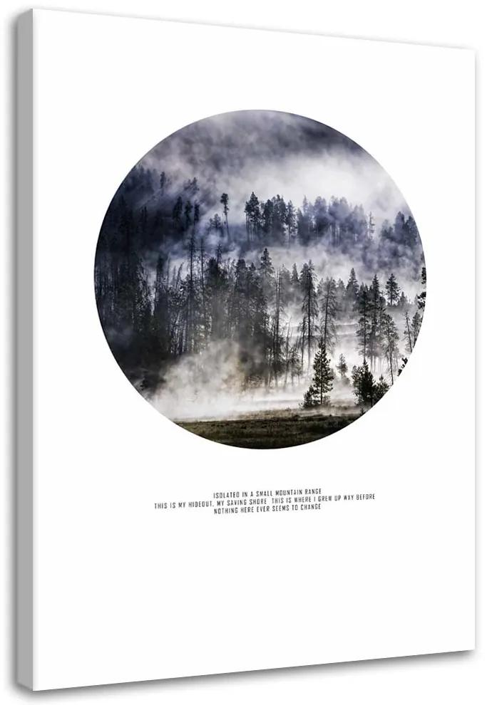 Gario Obraz na plátně Mlžný les Rozměry: 40 x 60 cm