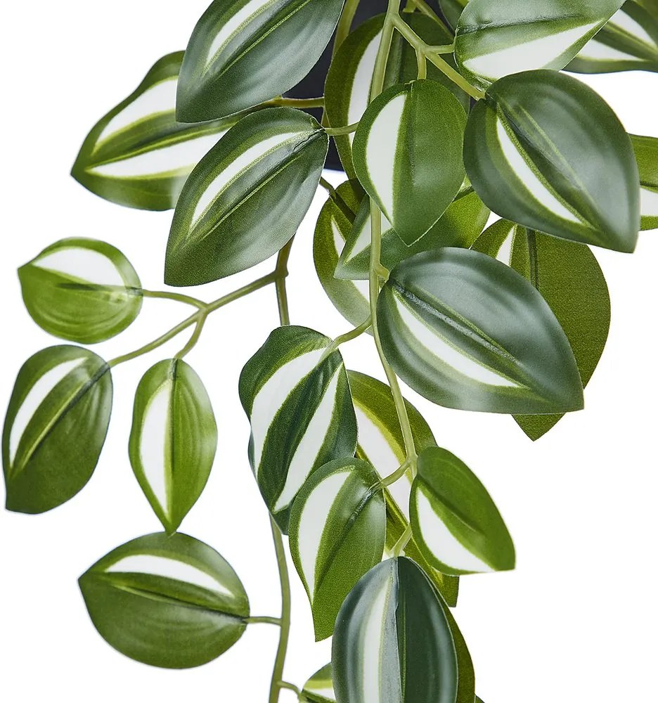 FLORISTA Potos v květináči 50 cm