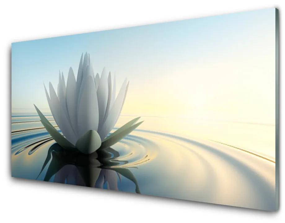 Plexisklo-obraz Vodní Lilie Rybník Příroda 140x70 cm