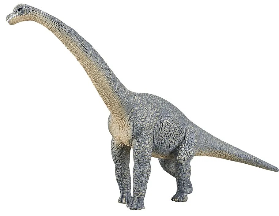 Mojo Brachiosaurus