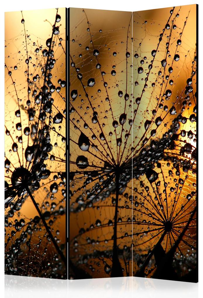 Artgeist Paraván - Dandelions in the Rain [Room Dividers] 135x172 7-10 dní