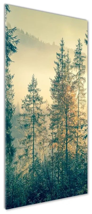 Wallmuralia Foto obraz fotografie na skle Mlha nad lesem 50x125 cm