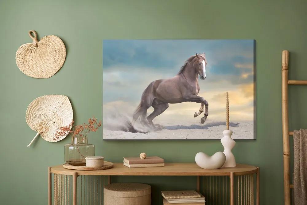 Obraz Majestátní Kůň V Poušti Nedostatek Nedostatek Plátno Canvas 70x50
