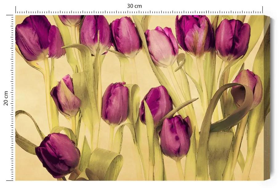 Obraz Tulipány V Retro Stylu Nedostatek Nedostatek Plátno Canvas 40x30