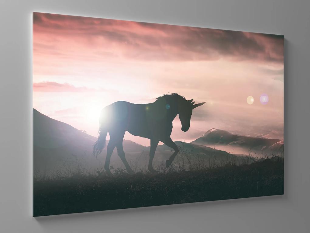 Liox Obraz jednorožec při západu slunce Rozměr: 150 x 100 cm