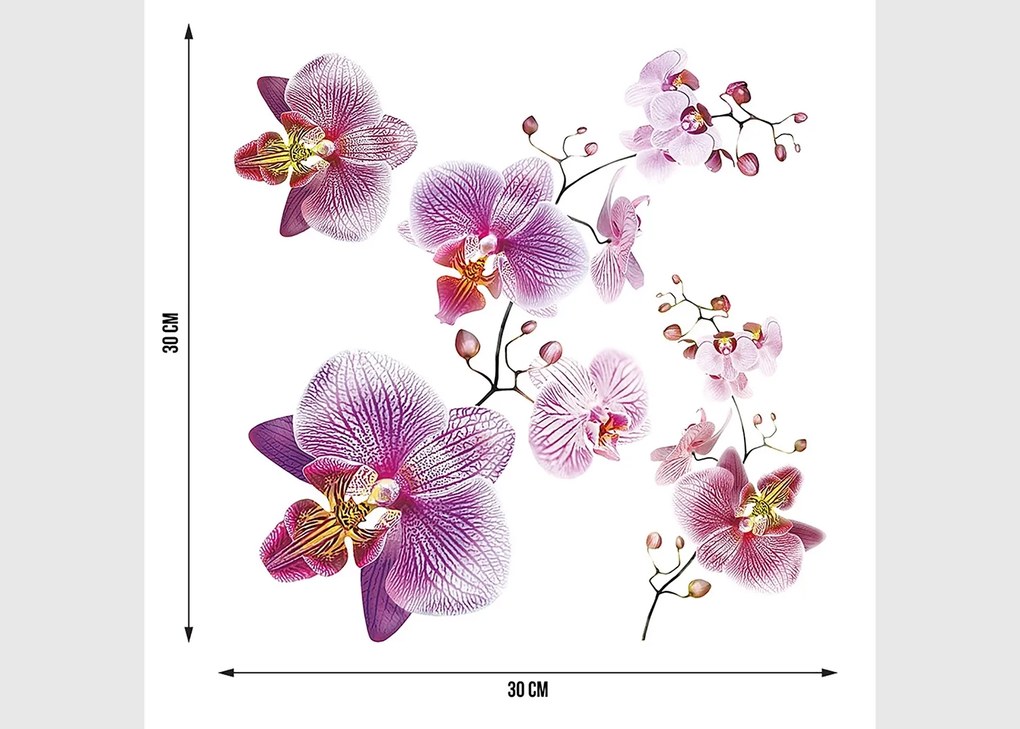 Samolepka na zeď Orchideje | 30 x 30 cm | DSS3859