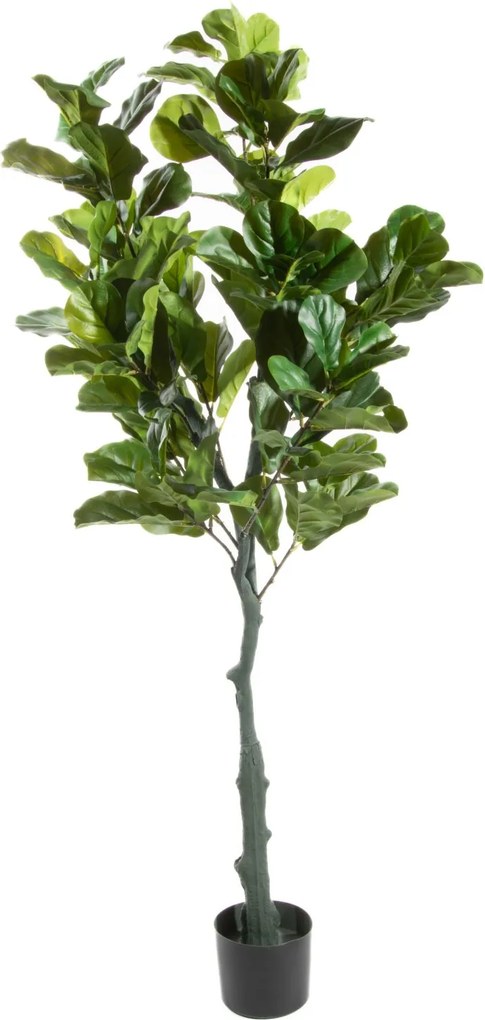 Dekorativní umělý Fíkovník Hawaj - 150 cm
