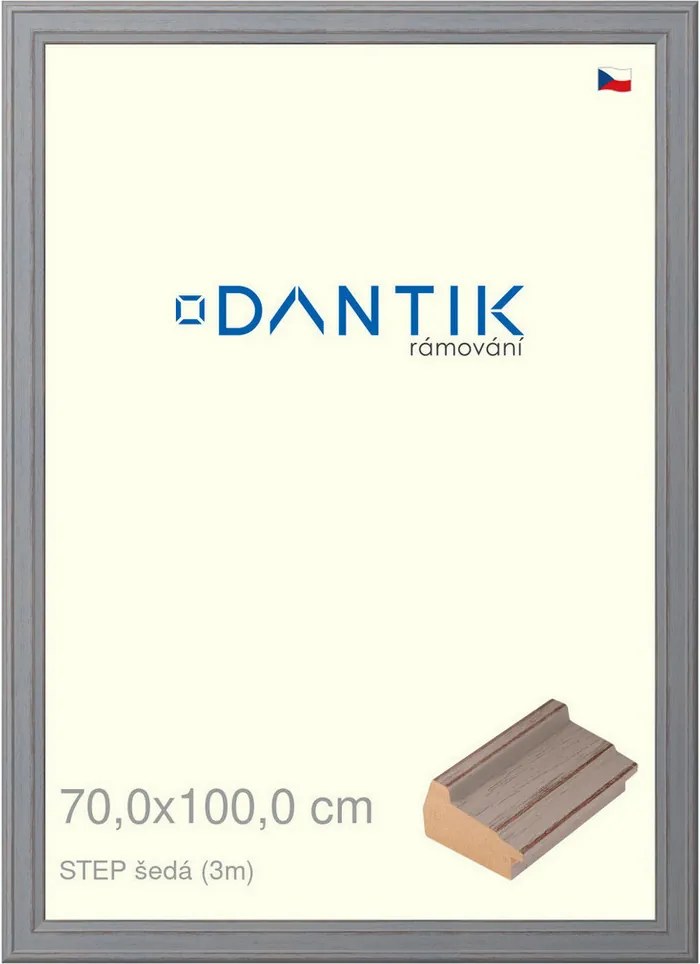 DANTIK rámeček 70x100 | STEP šedá (Plexi Čiré)