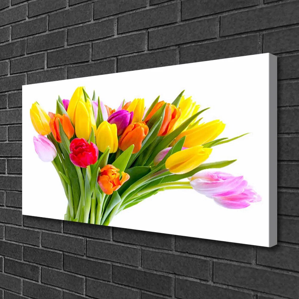 Obraz na plátně Tulipány Květiny Rostlina 100x50 cm