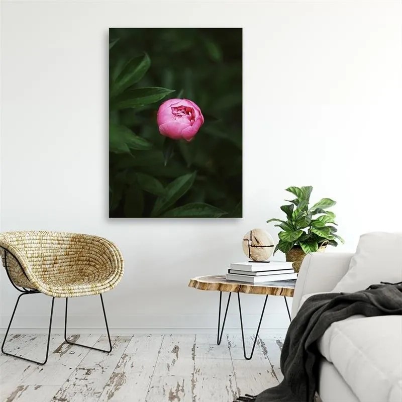 Gario Obraz na plátně Růžové poupě Rozměry: 40 x 60 cm