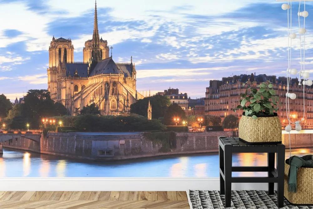 Fototapeta Paříž – Notre-Dame Strukturální vinyl 90x60