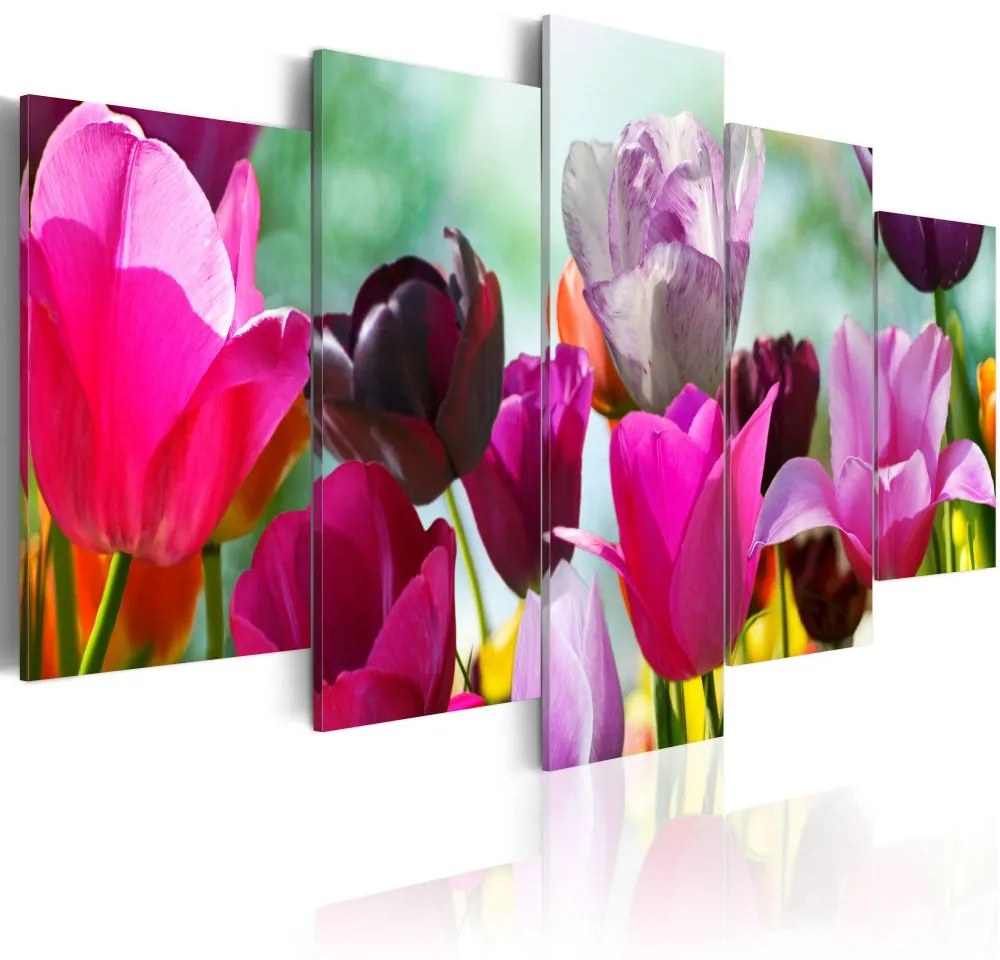 Obraz na plátně Bimago - Louka růžových tulipánů 100x50 cm