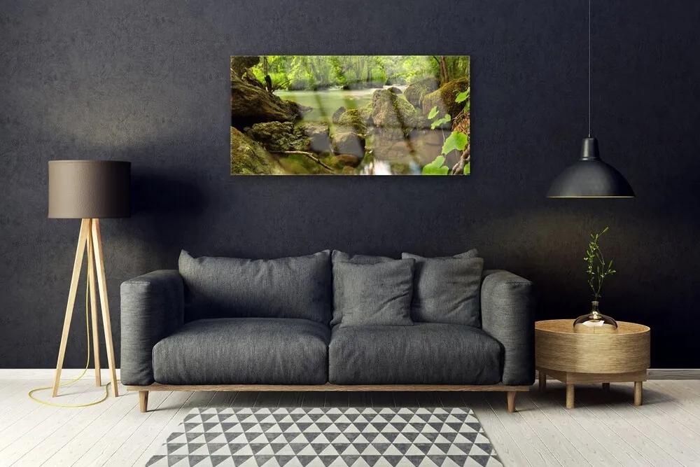 Obraz na skle Skála Jezero Příroda 100x50 cm