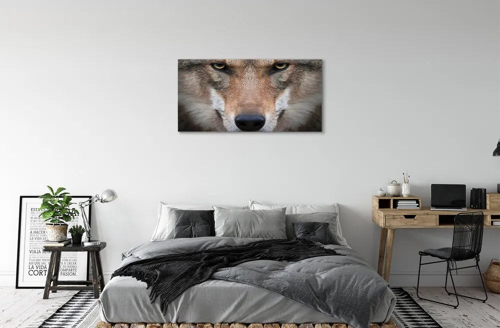 Obrazy na plátně wolf Eyes 100x50 cm