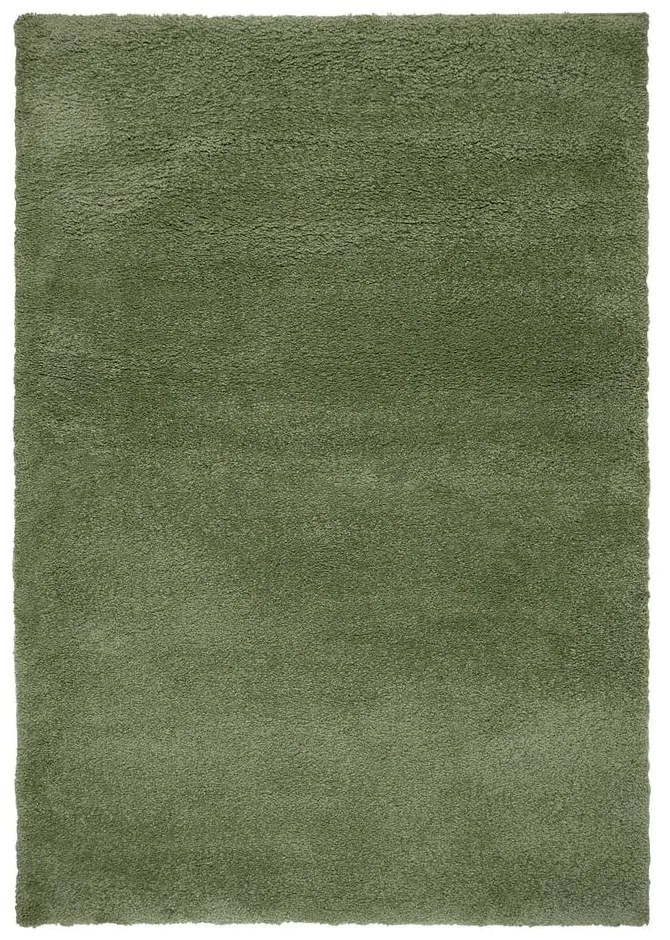 Zelený koberec 160x230 cm – Flair Rugs