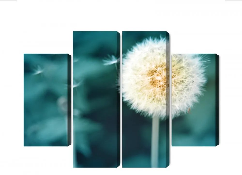 Vícedílný obraz Pampeliška Květ Zblízka 3D Nedostatek Nedostatek Přírodní plátno 160x120