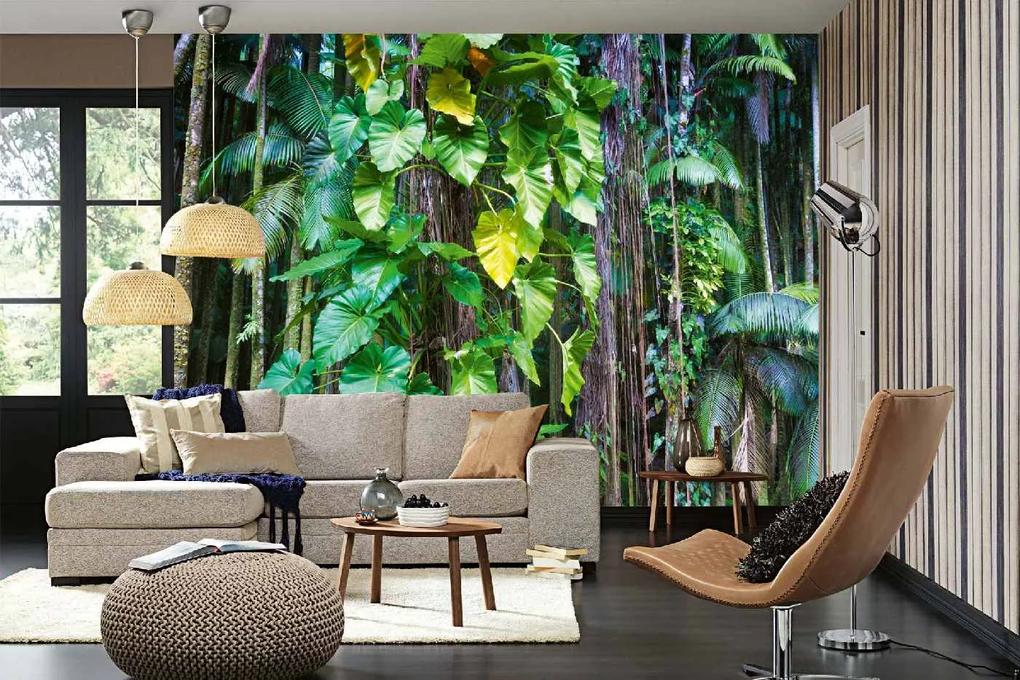 DIMEX | Samolepicí vliesová fototapeta na zeď Listy v tropické džungli MA-5-1597 | 375 x 250 cm | zelená, hnědá