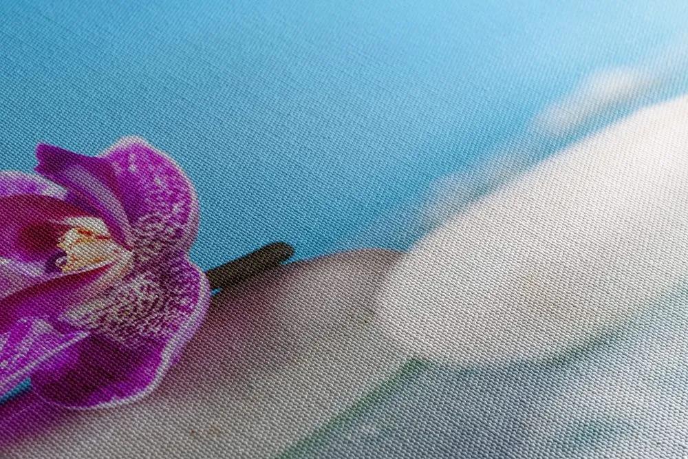 Obraz orchidej a Zen kameny Varianta: 120x80