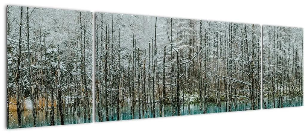Obraz - Tyrkysový rybník, Biei, Japonsko (170x50 cm)