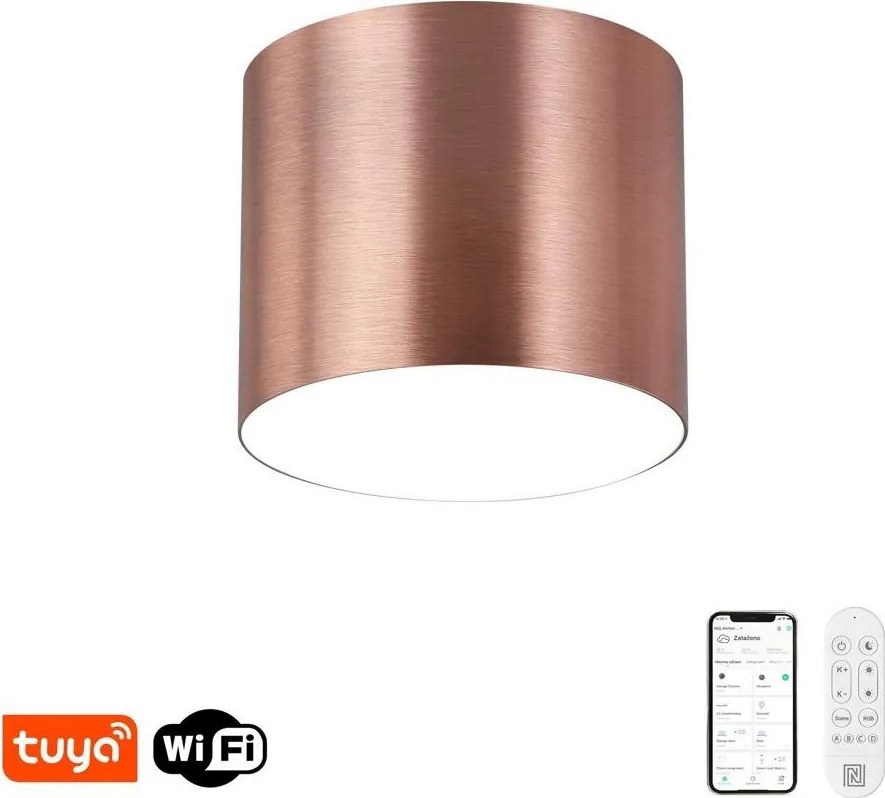 Immax NEO 07319L - LED Stm stropní sv RONDATE 18W/230V 11,5 cm Wi-Fi Tuya rose
