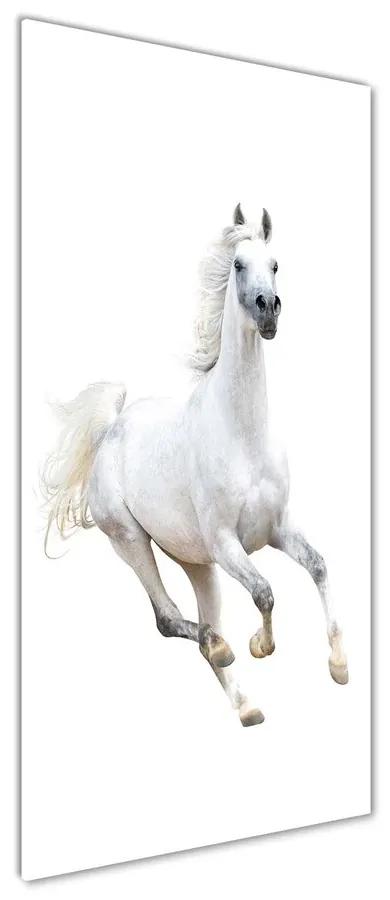 Wallmuralia Fotoobraz na skle Bílý kůň cval 50x125 cm