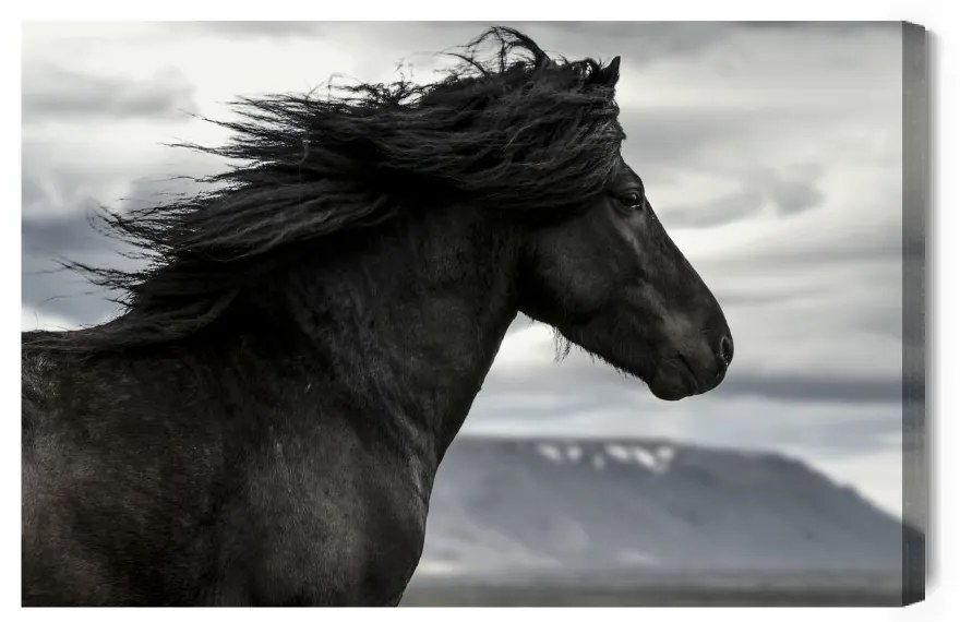 Obraz Černý Kůň Na Pozadí Mraků Nedostatek Nedostatek Plátno Canvas 90x60