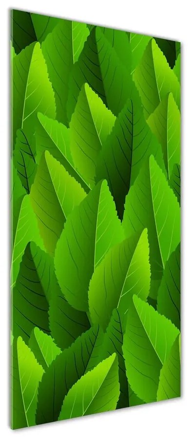 Wallmuralia Foto obraz akrylové sklo Zelené listí 50x125 cm