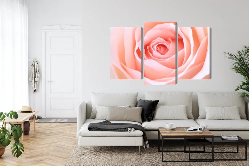 Vícedílný obraz Pastelová Růže Na 3D Makro Měřítku Nedostatek Nedostatek Plátno Canvas 180x120