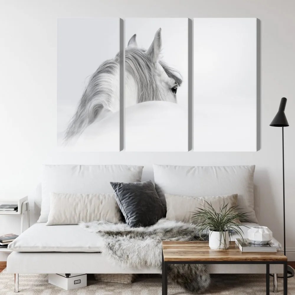 Vícedílný obraz Andaluský Kůň V Mlze Nedostatek Nedostatek Plátno Canvas 150x100