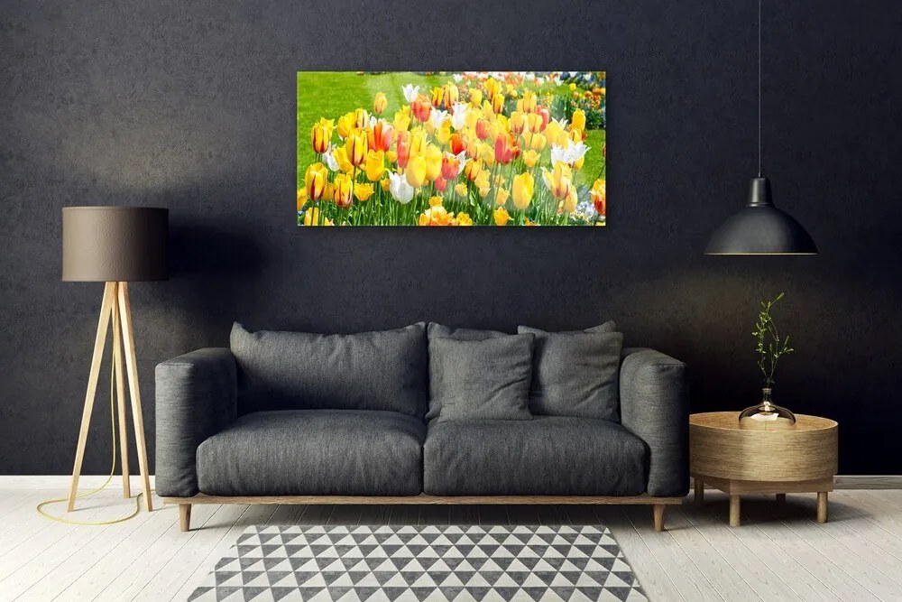 Obraz na skle Tulipány Květiny Příroda 100x50 cm