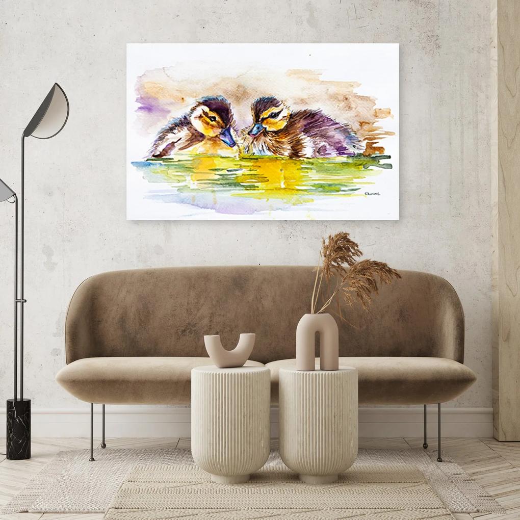 Gario Obraz na plátně Dvě malé kachničky - Dorota Martyńska Rozměry: 60 x 40 cm