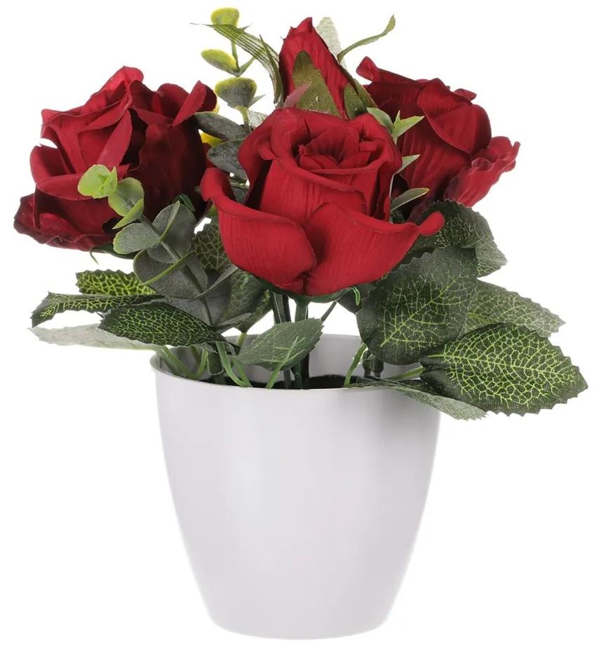 Růžičky v plastovém bílém obalu SG7335 Červená