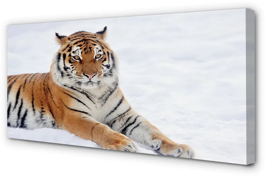 Obrazy na plátně Tiger winter 140x70 cm