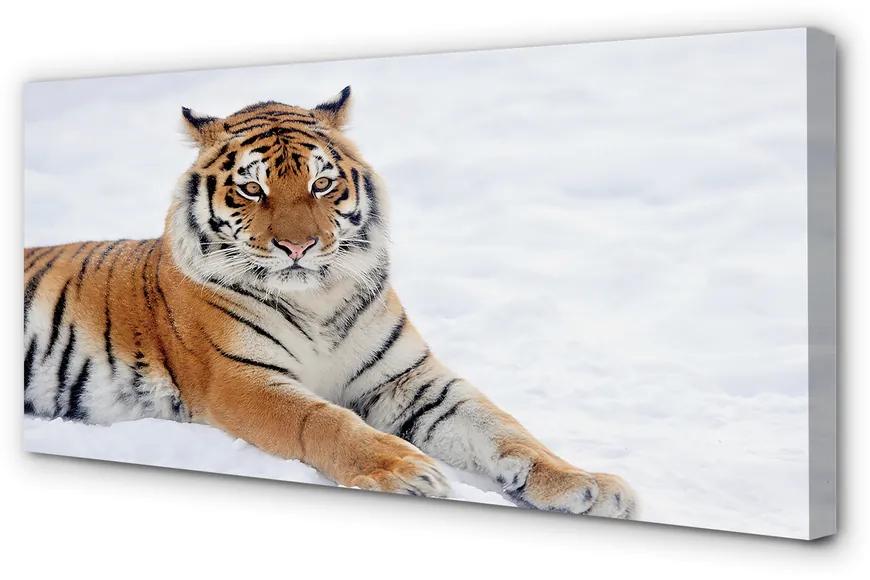 Obrazy na plátně Tiger winter 140x70cm
