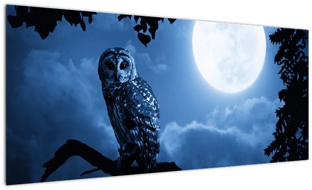 Noční příroda, obrazy (100x40cm)