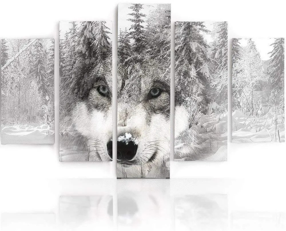Obraz na plátně pětidílný Vlčí lesní zvíře šedé - 150x100 cm