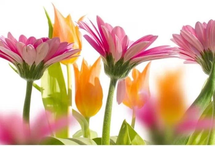 DIMEX | Samolepicí vliesová fototapeta na zeď Jarní květiny MA-5-0142 | 375 x 250 cm | zelená, bílá, žlutá, růžová